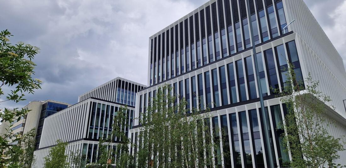 Biuro D48 - ul. Domaniewska 48, Warszawa Mokotów - BazaBiur.pl